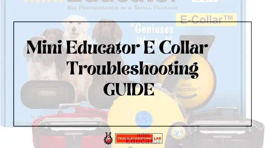 Mini Educator E Collar Troubleshooting: Fixing Common Issues
