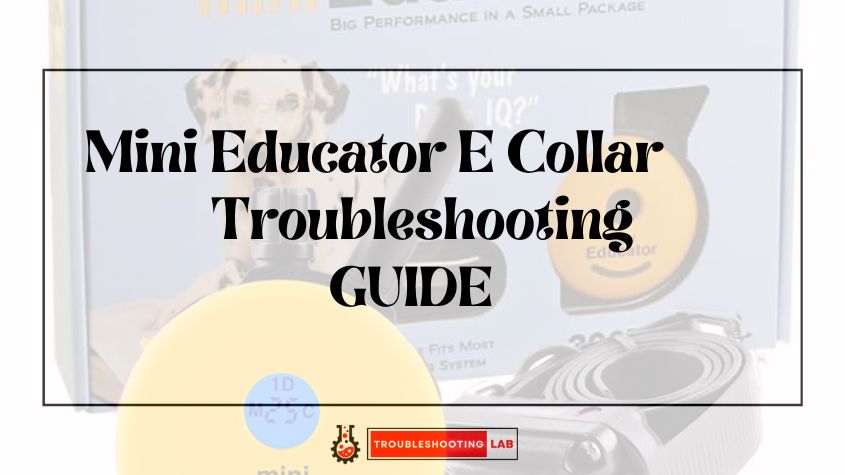 Mini Educator E Collar Troubleshooting: Fixing Common Issues