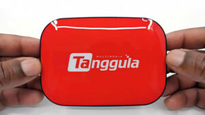 Tanggula Troubleshooting: Quick Fixes for Common Issues