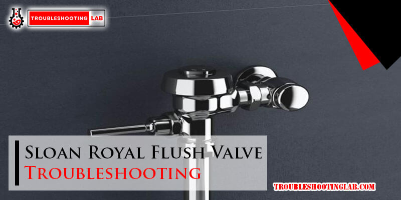 Sloan Automatic Flush Valve Troubleshooting: Expert Guide & Tips